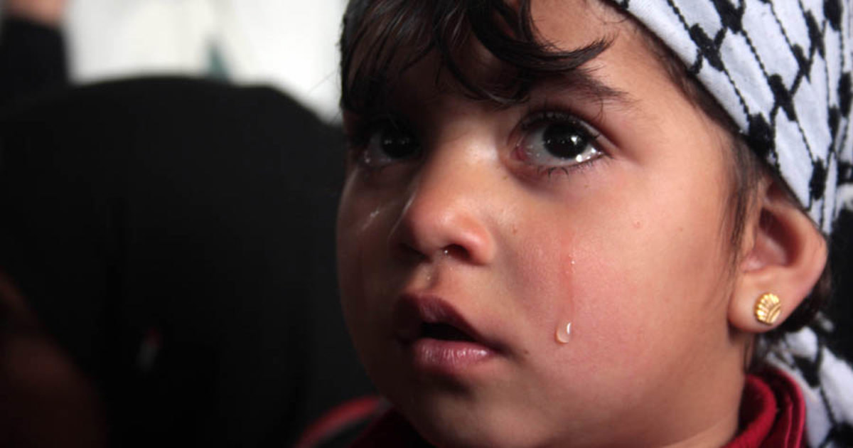 Gaza Emergency Appeal | Human Appeal