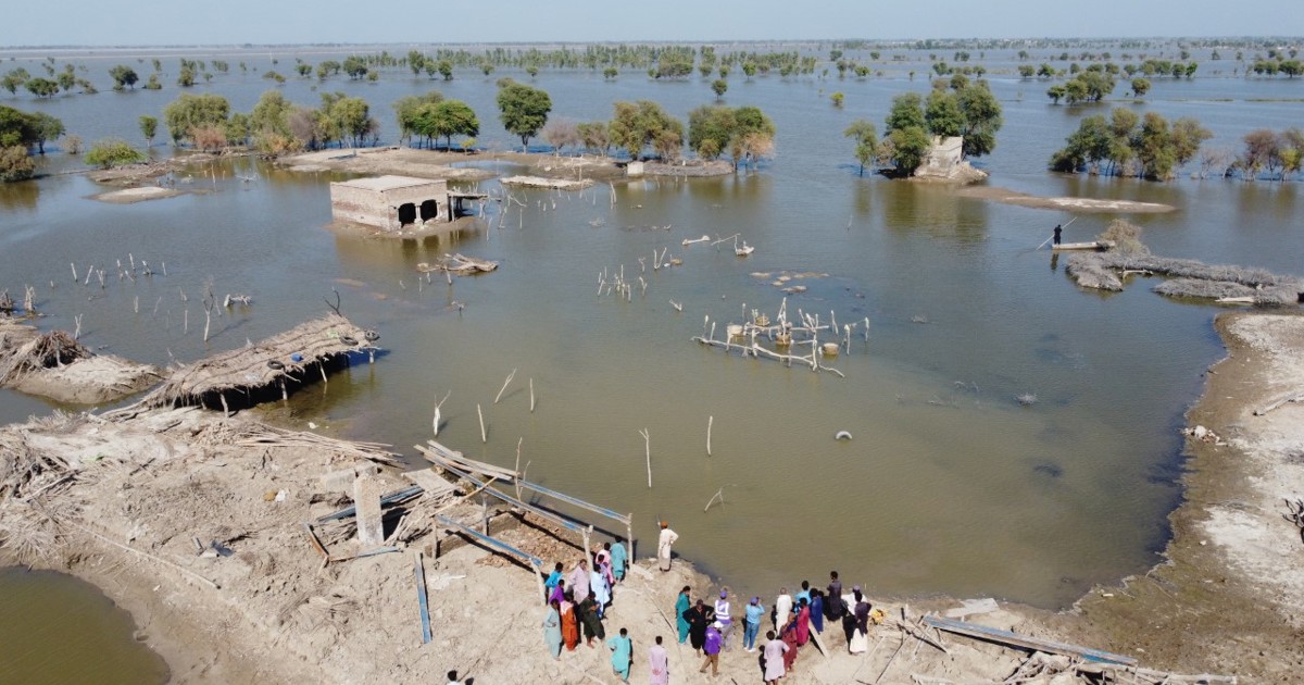 Human Appeal joins forces with UN WFP to deliver more vital relief to ...